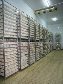 CHEESE RACKING - CHEESE RACKS - CHEESE STORES - CHEESE SHELVING